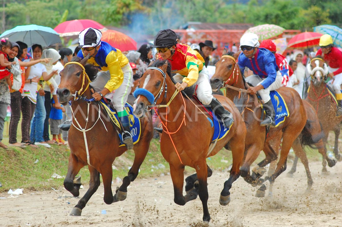 Serpihan Jejak Musyafir - 304 Derap Kuda-kuda Berkekang | RED-JOSS